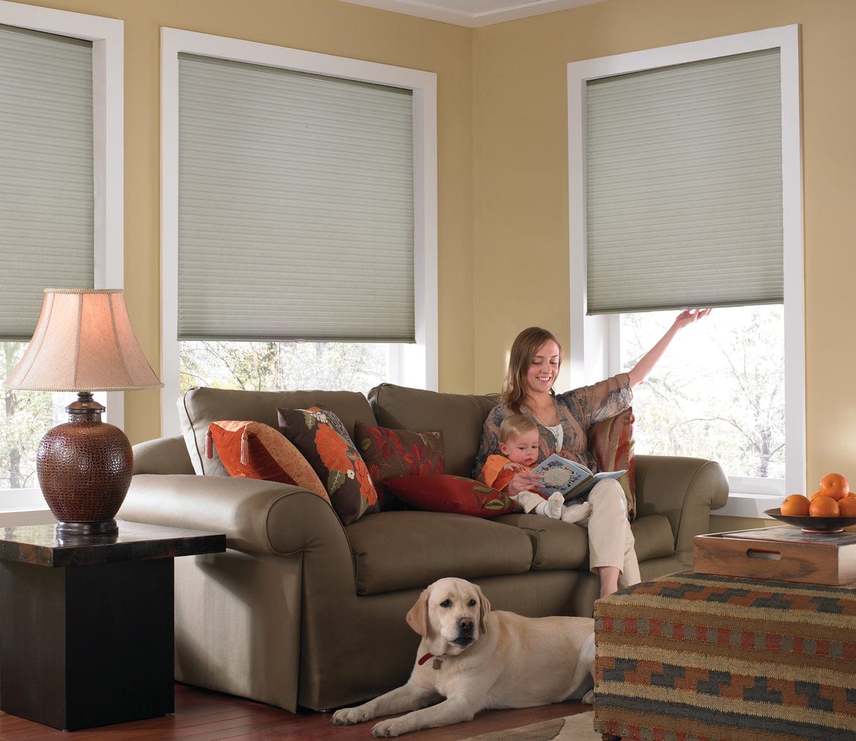 Energy Efficient Blinds: Top Picks, Benefits & Buying Guide – Factory ...