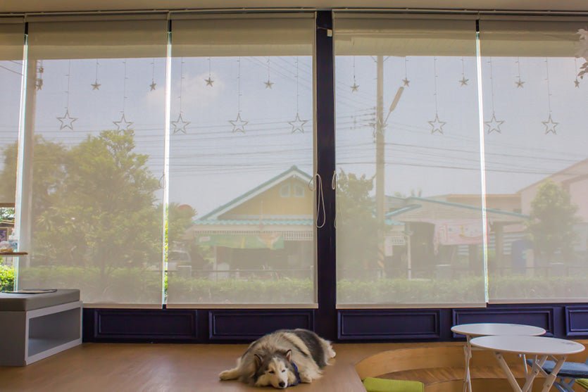 The 11 Best Shades for Privacy at Night – Factory Direct Blinds