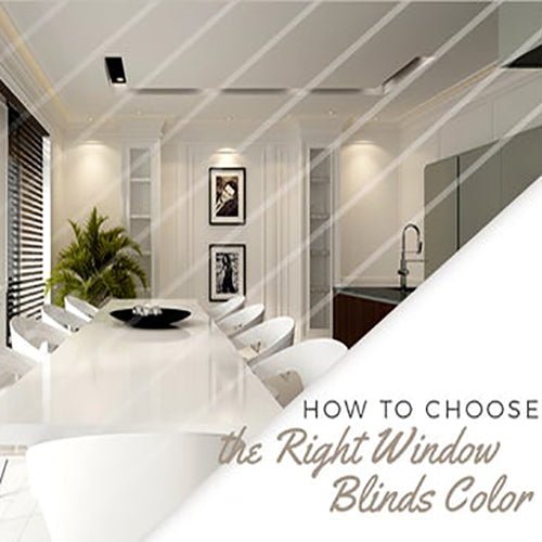 What Color Blinds Should I Get? How to Choose The Right Color – Factory ...